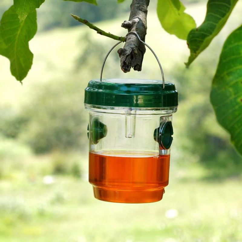 Solar Powered Insect Trap