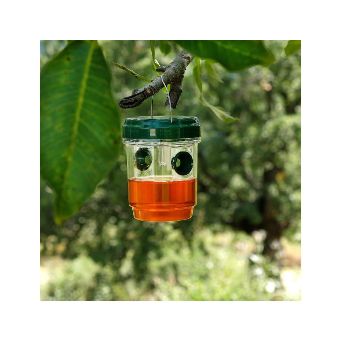 Solar Powered Insect Trap | Netsilla